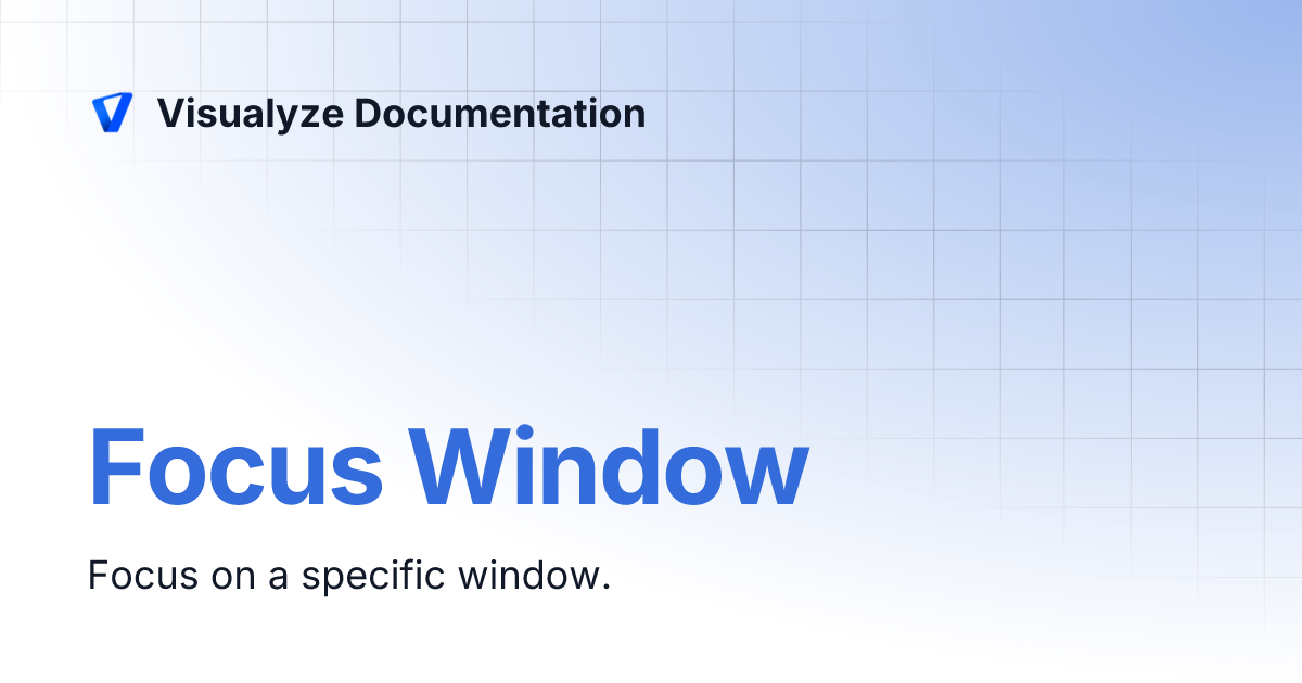Focus Window | Visualyze Documentation